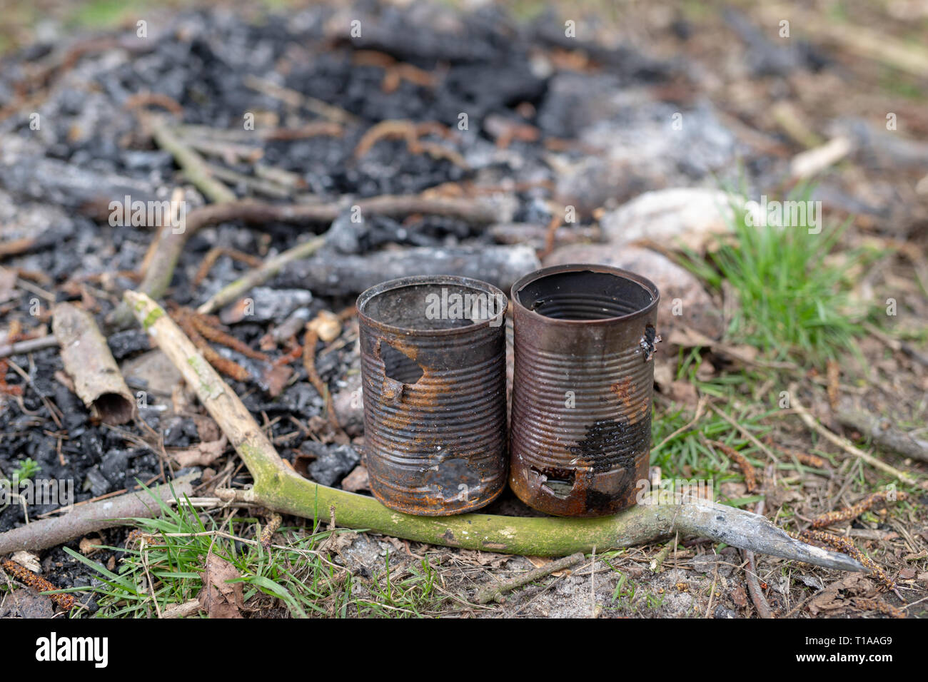 Old rusty cans in a campfire. Place for camping in the forest. Season ...