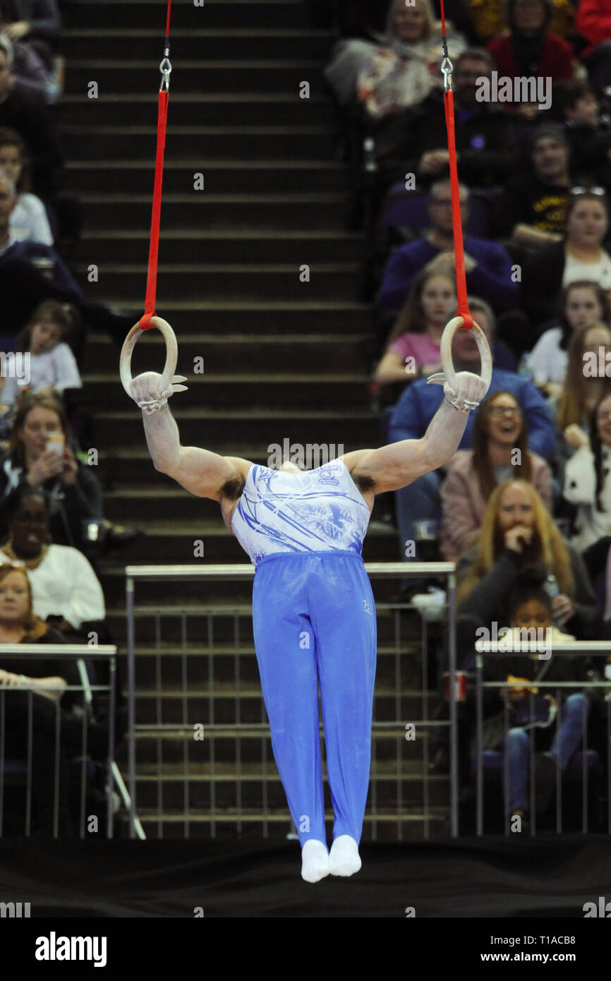 James hall gymnast hi-res stock photography and images - Alamy