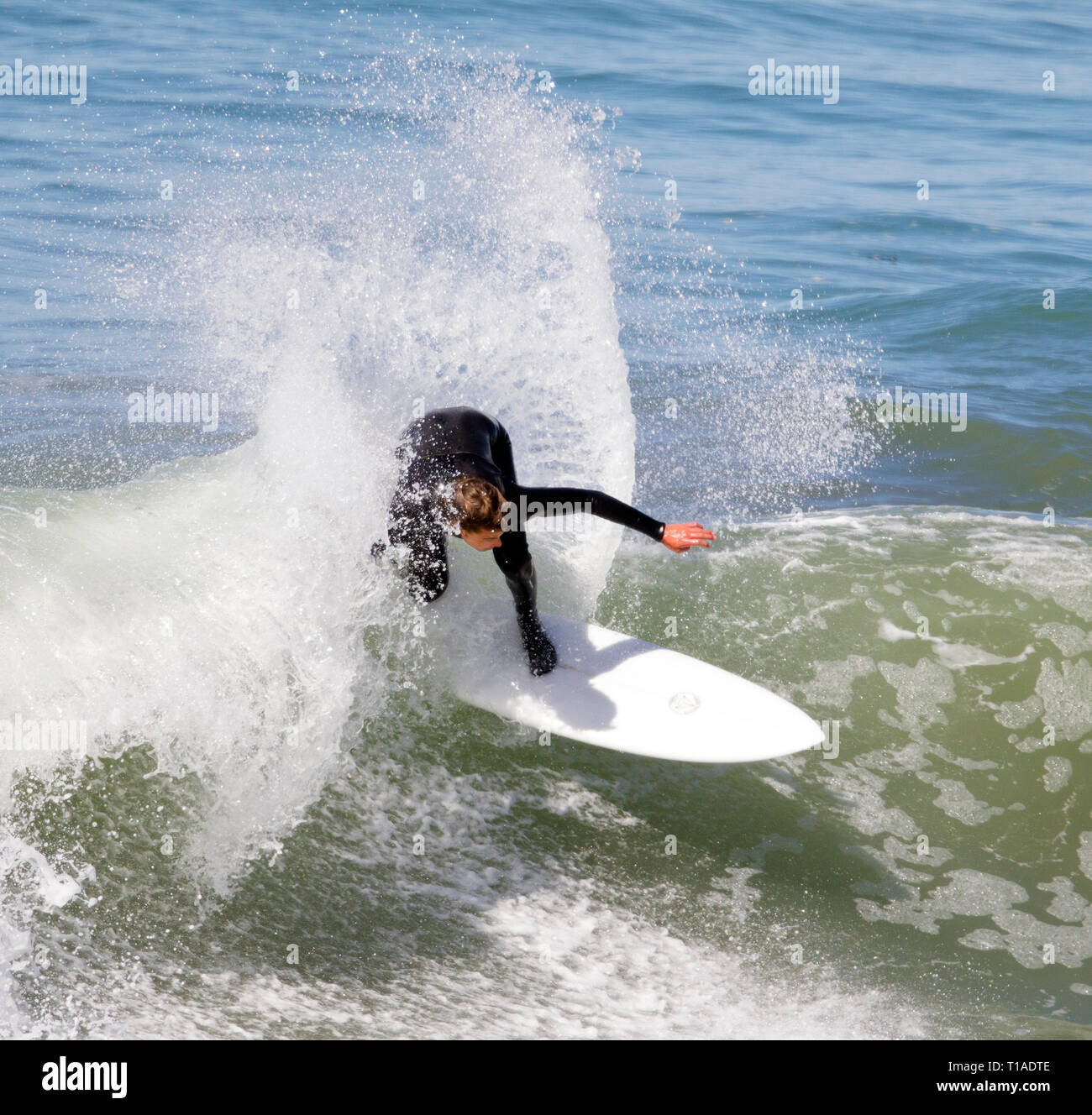 Cut back hi-res stock photography and images - Alamy