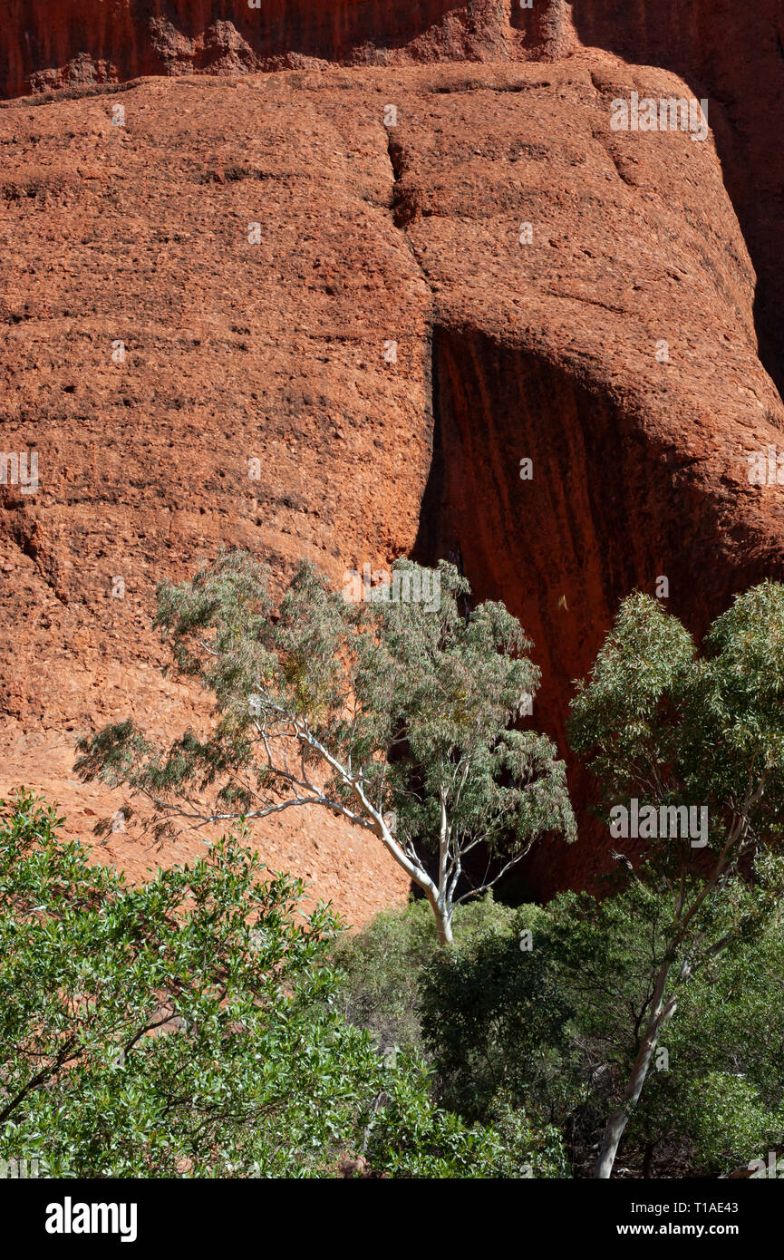Intracratonic sedimentary basin hi-res stock photography and images - Alamy