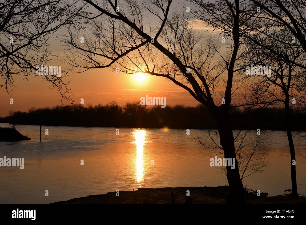 Sunset with silhouette trees from Fort Smith, AR looking over the ...