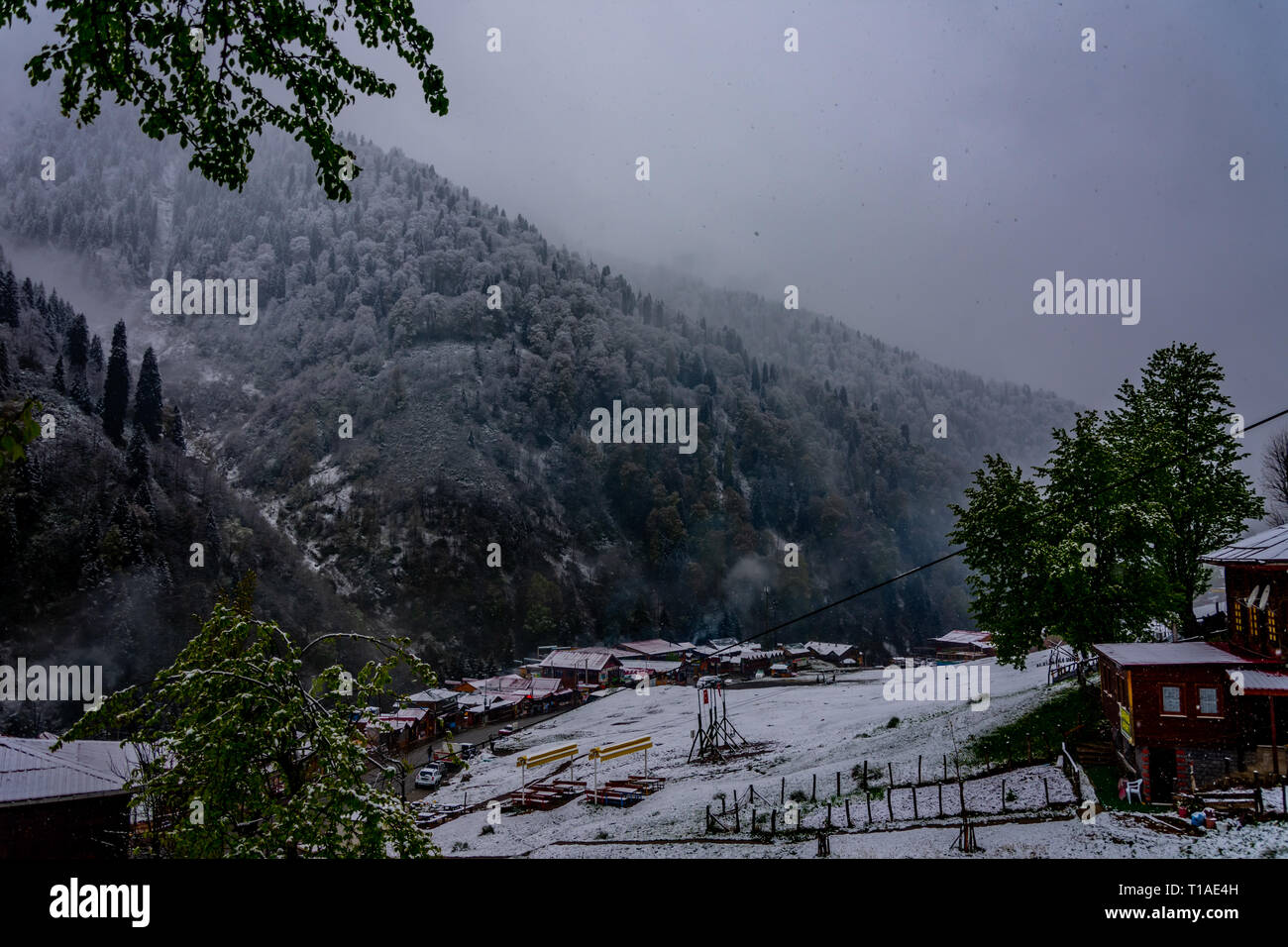Ayder village in Rize famous touristic destination of Karadeniz tour ...