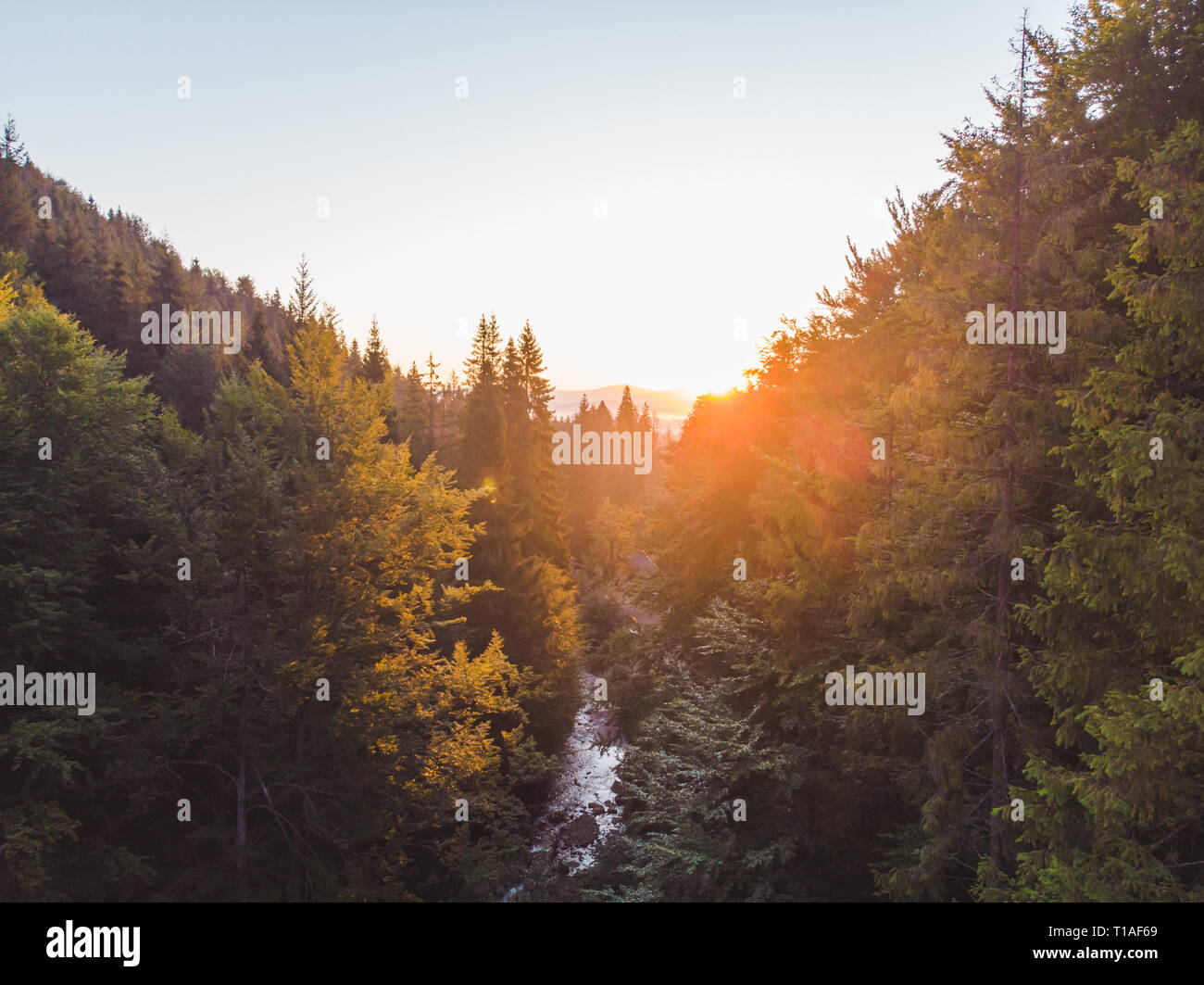 Aerial sunset over water woodland hi-res stock photography and images ...