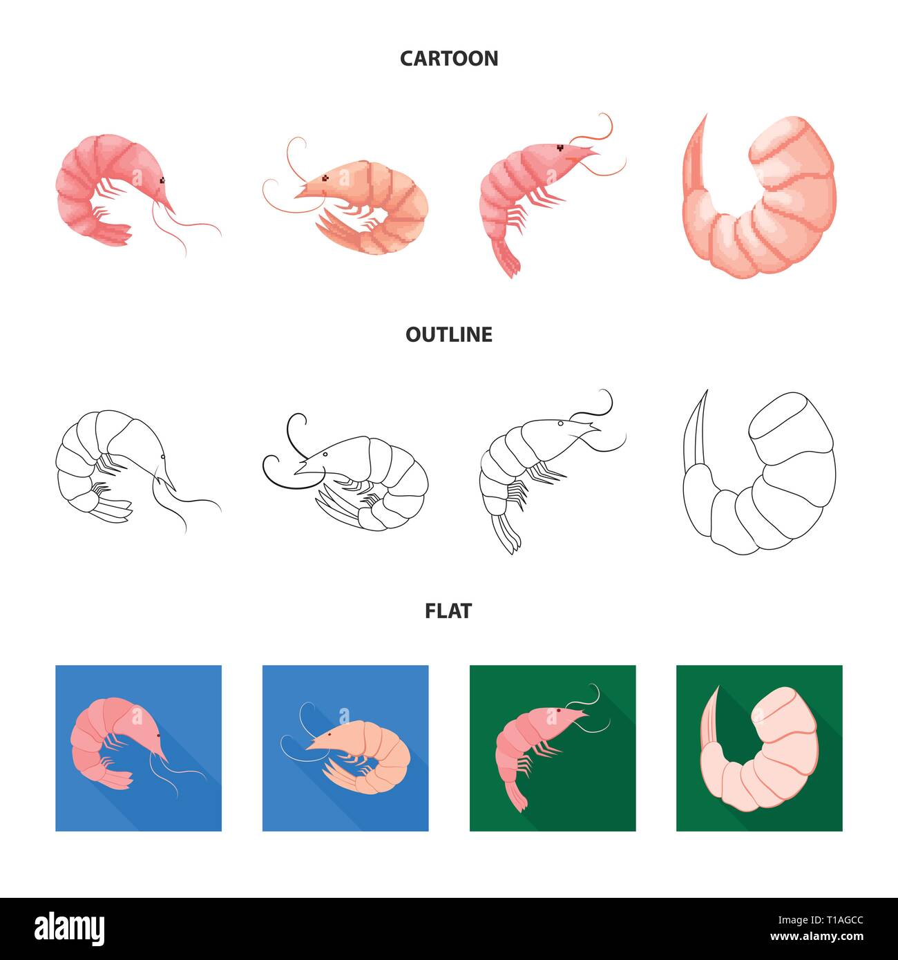 prawn,creature,raw,boiled,fresh,cooked,luxury,restaurant,underwater ...