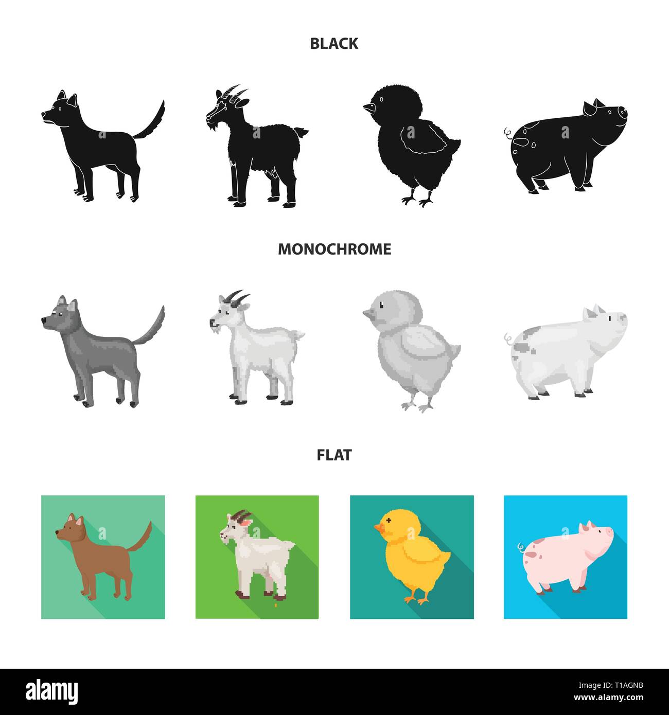 Chick action set hi-res stock photography and images - Alamy