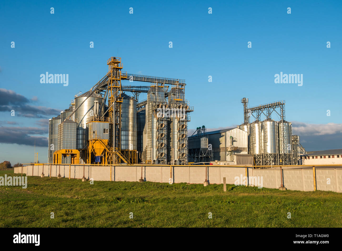 agro-processing plant for processing and silos for drying cleaning and ...