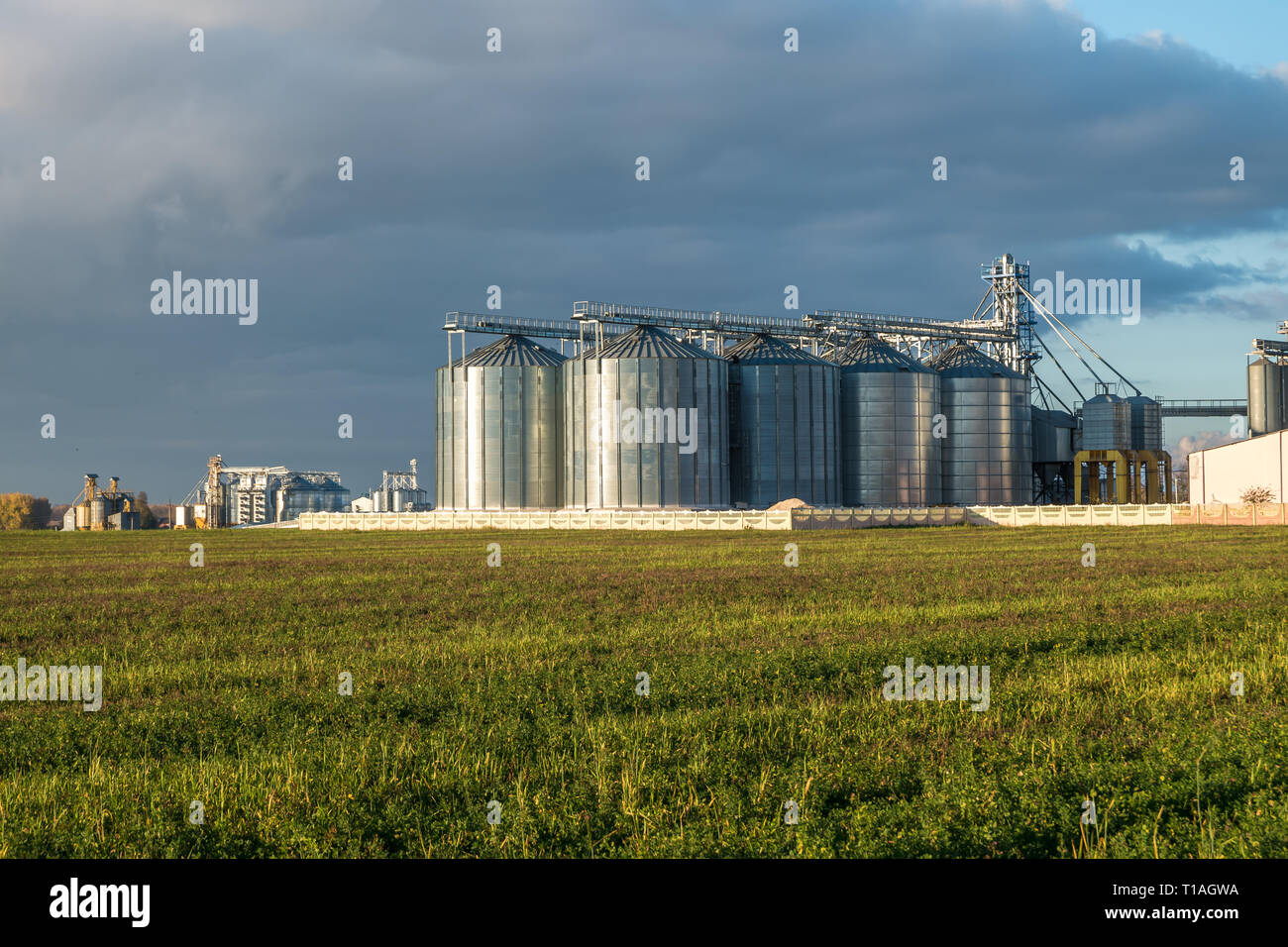 agro-processing plant for processing and silos for drying cleaning and ...