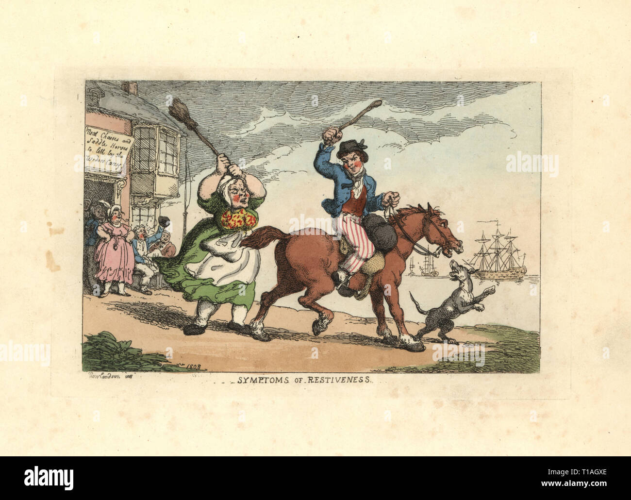 Stubborn horse hi-res stock photography and images - Alamy