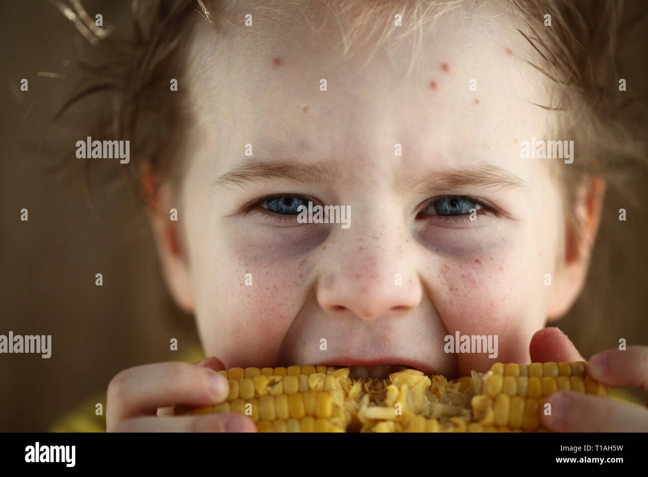 Boy eating sweet corn Stock Photo - Alamy
