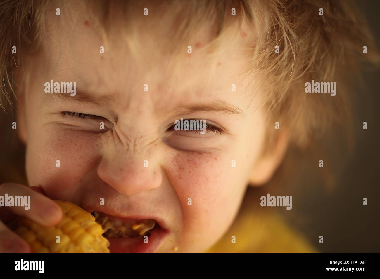 Boy eating sweet corn Stock Photo - Alamy
