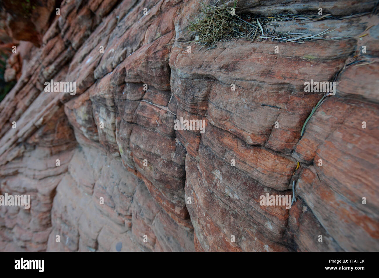 Great example of cross bedding on the Kings Canyon Rim Walk, Northern ...