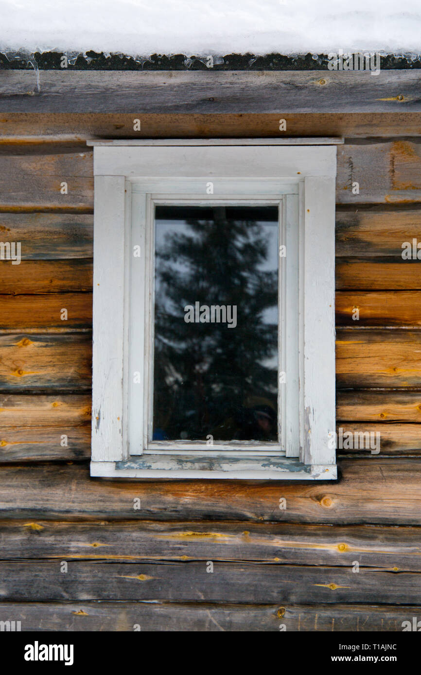 Window of wooden cabin reflecting pine trees, Riisitunturi, Finlan ...