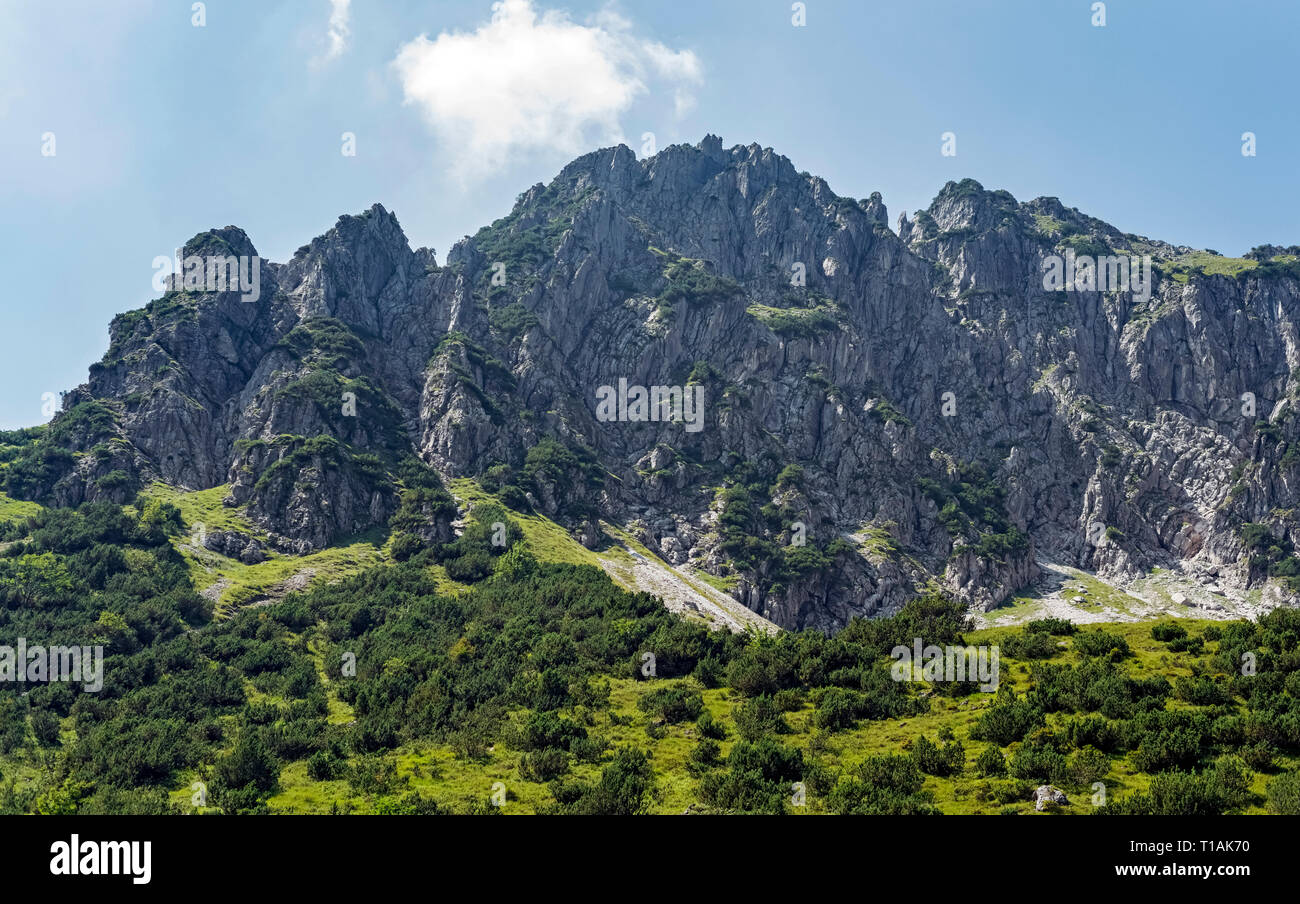 Table Mountain cliffs in Cape Town, South Africa Stock Photo - Alamy