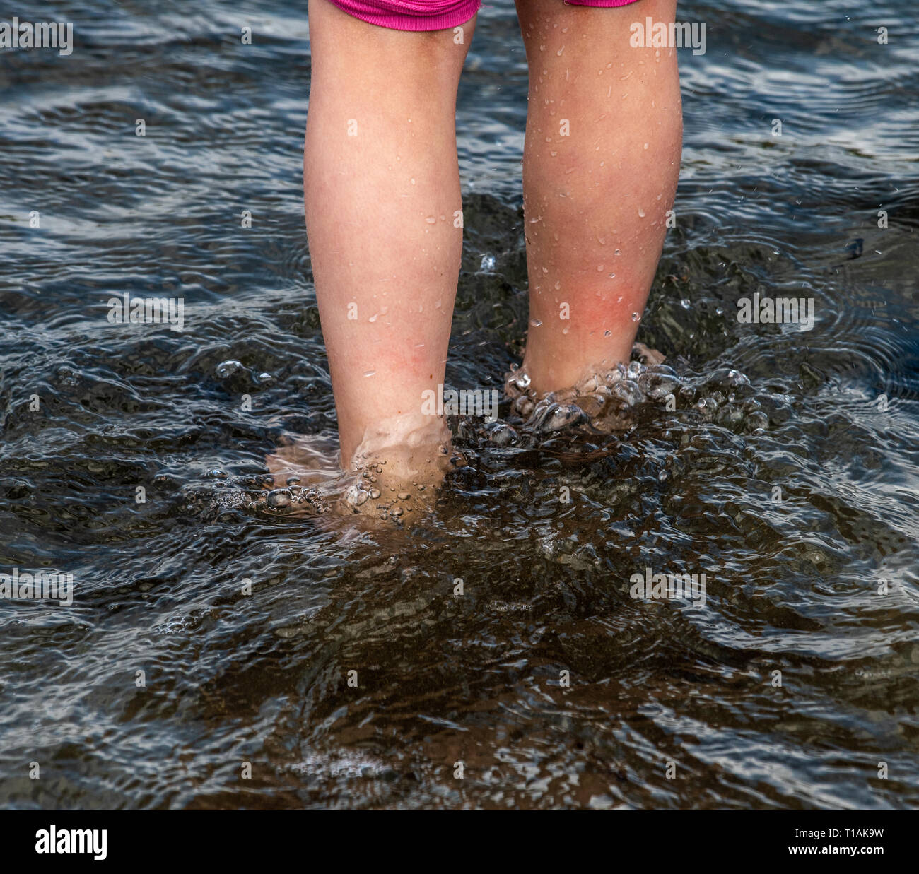 Paddling legs hi-res stock photography and images - Alamy