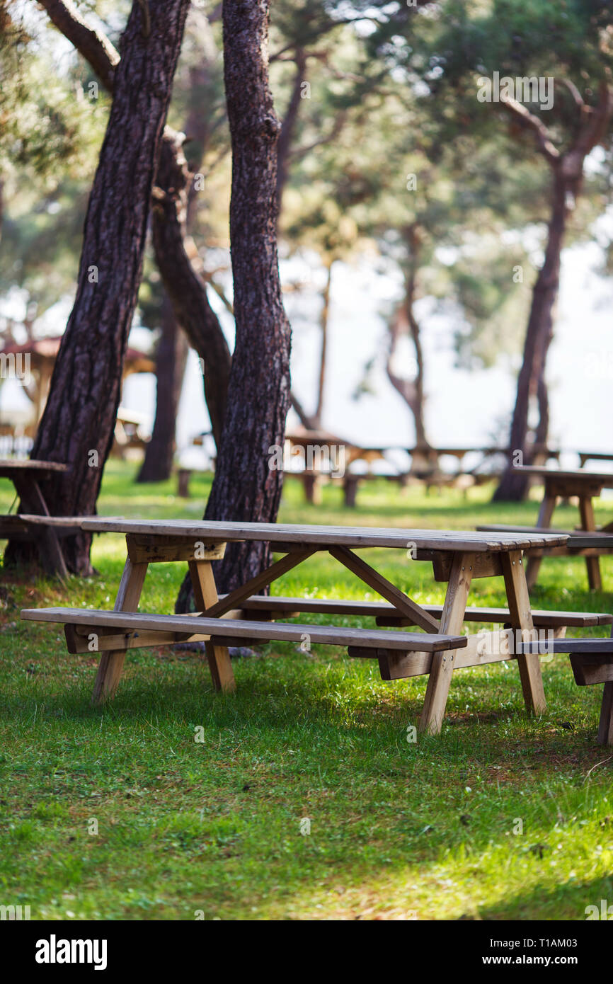 Image of green park with trees, wooden benches, table Stock Photo - Alamy