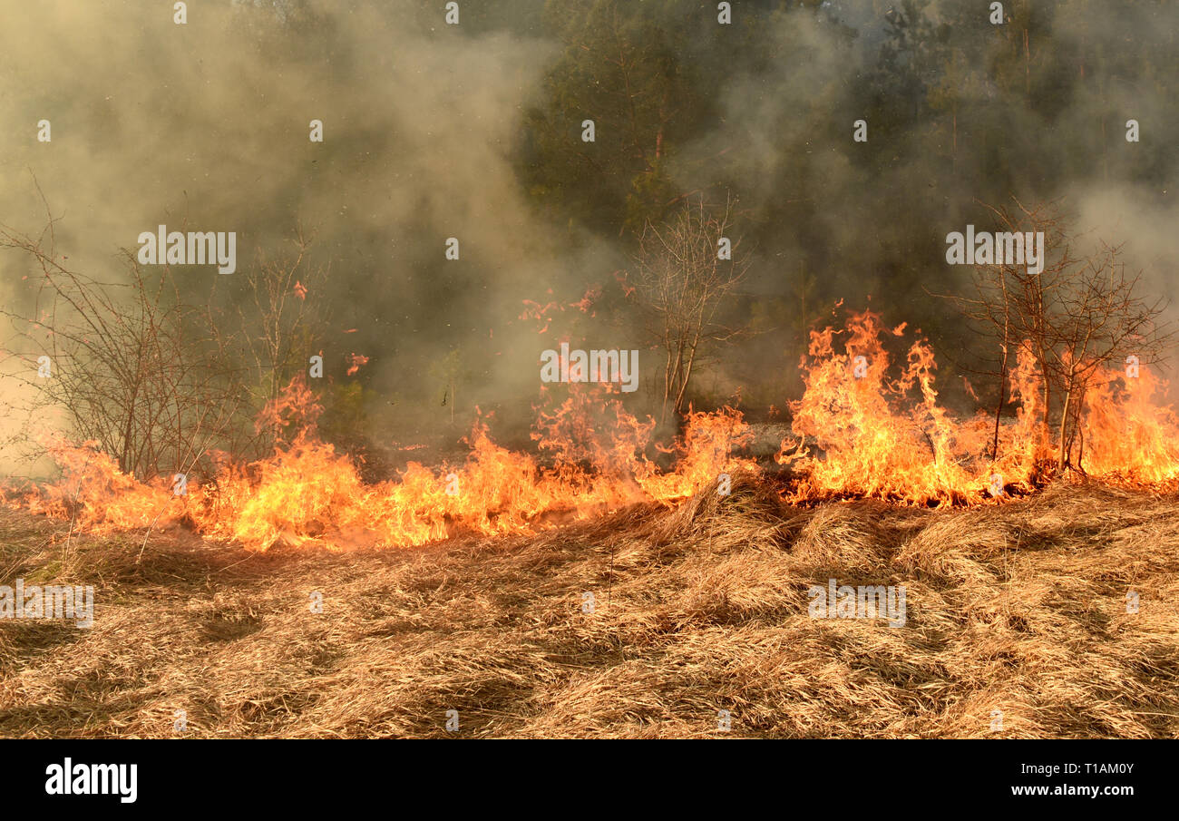 Wildfire france hi-res stock photography and images - Alamy