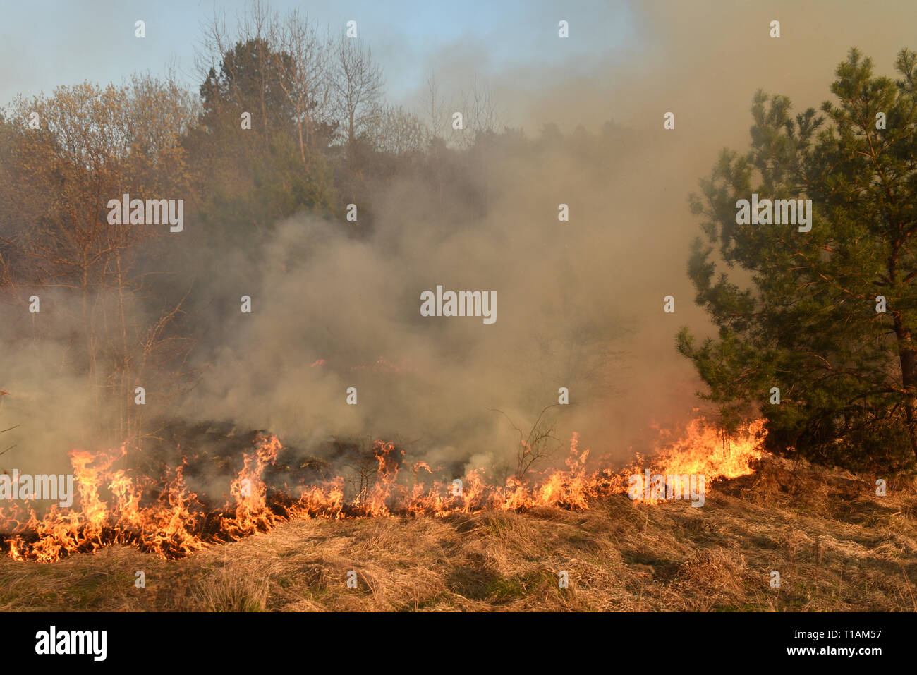 Wildfire italy hi-res stock photography and images - Alamy