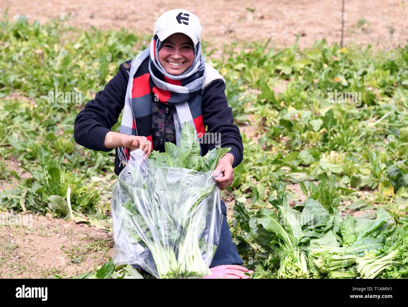 Syrian war ruins hi-res stock photography and images - Alamy