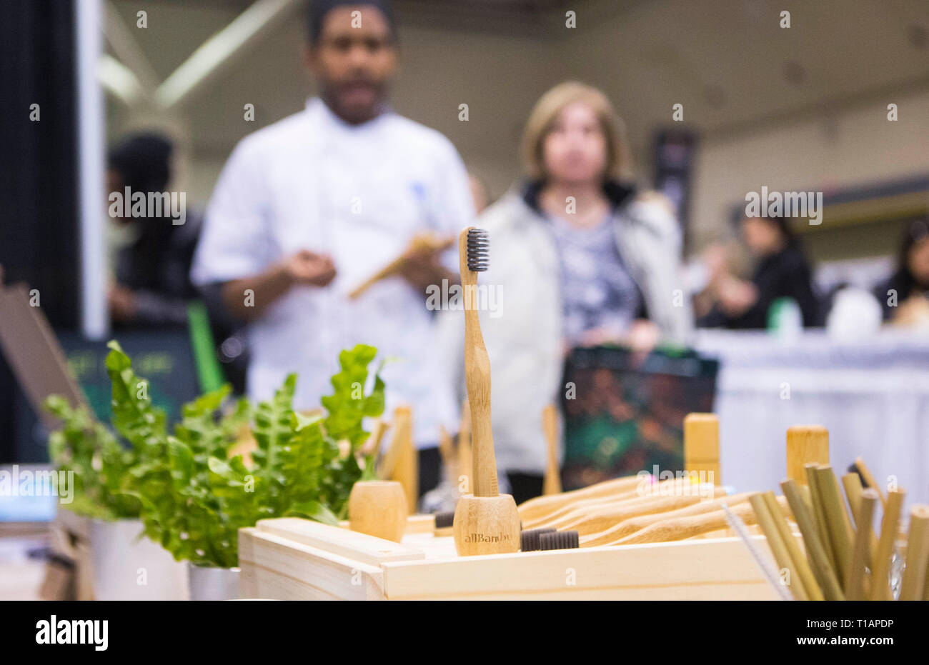 Toronto, Canada. 24th Mar, 2019. A bamboo toothbrush is on display ...