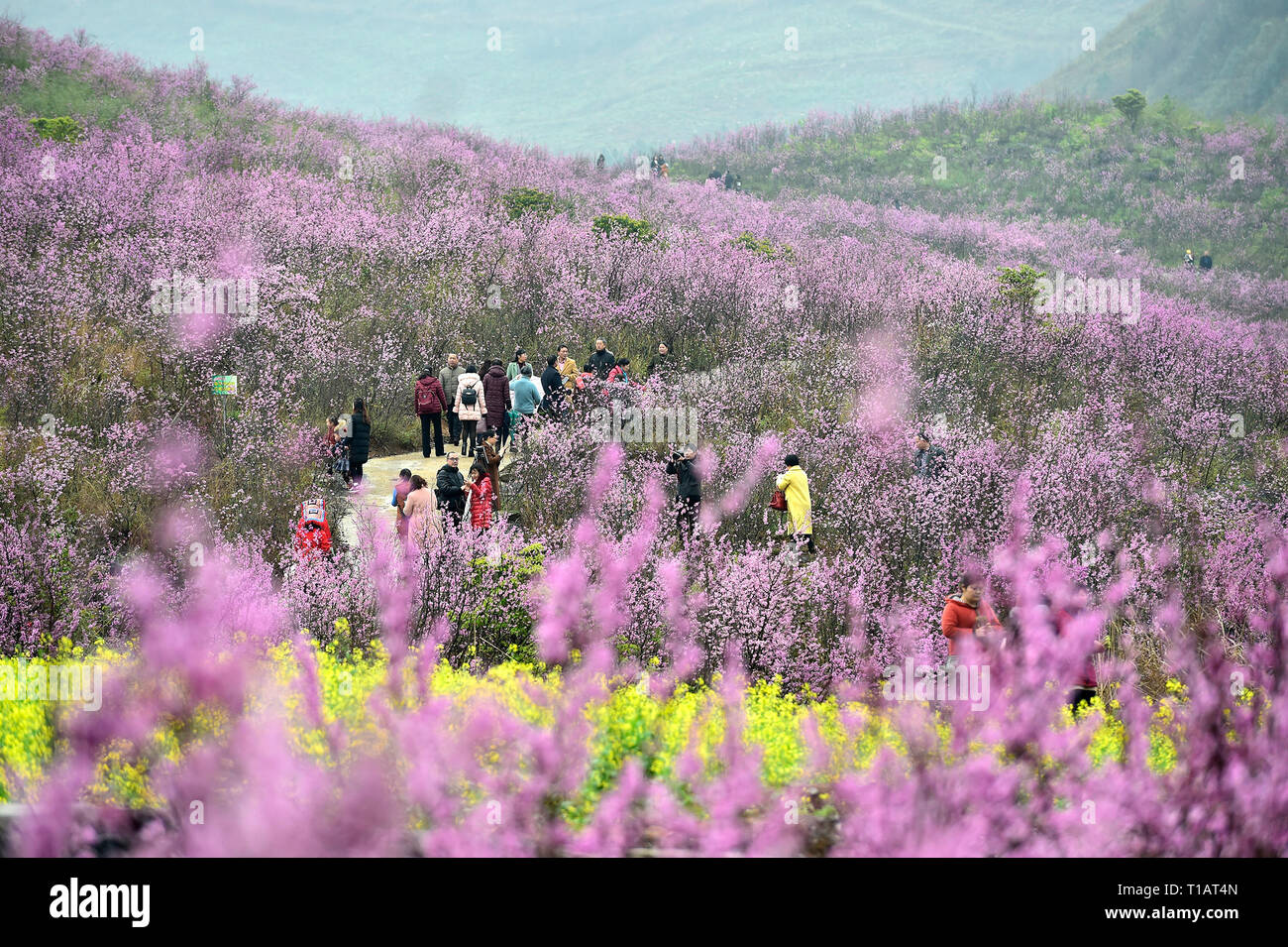Jiangyong county hunan hi-res stock photography and images - Alamy
