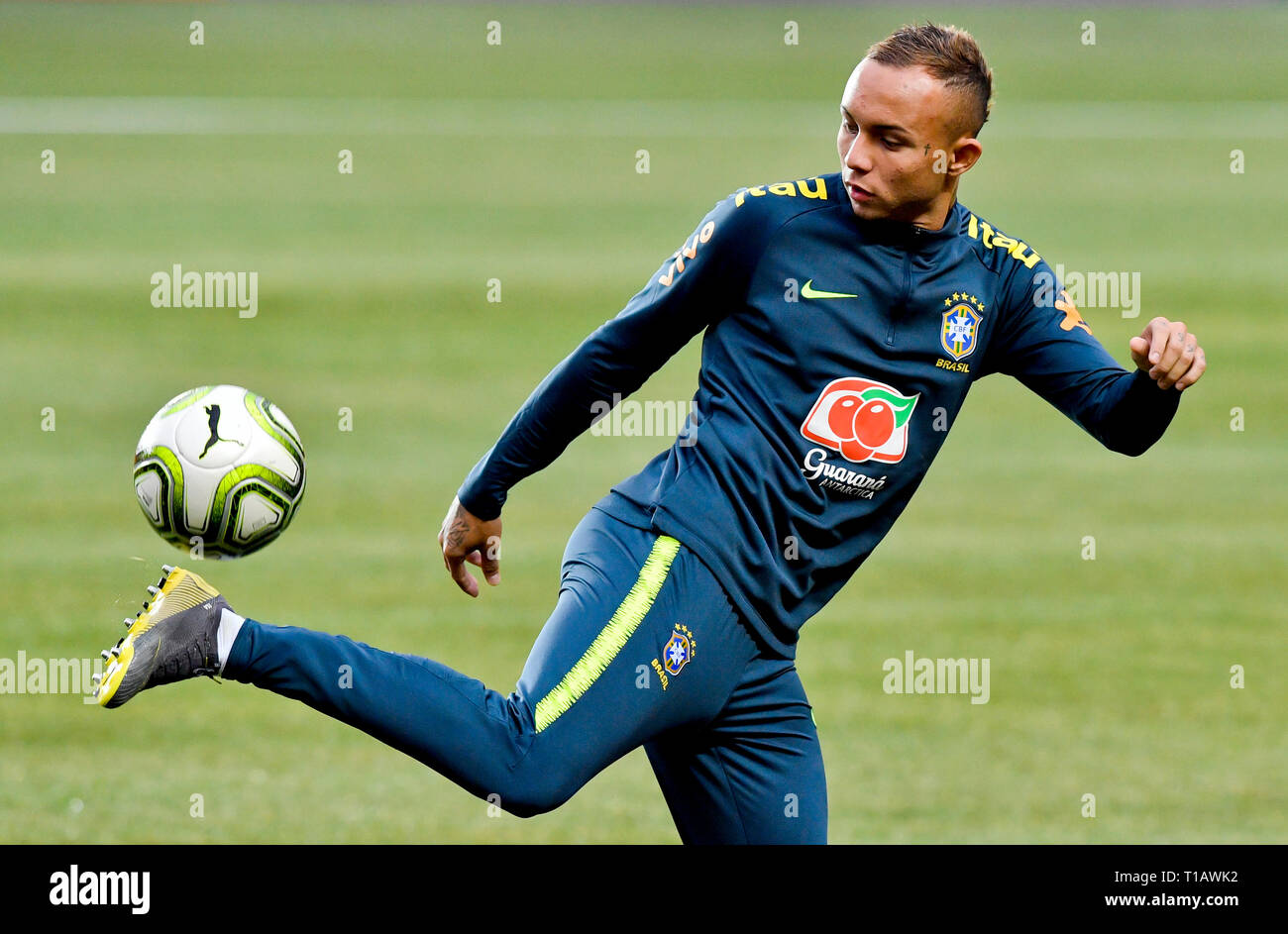 Brazilian football player EVERTON in action during the training session ...