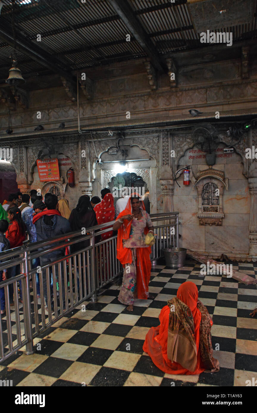 Hindu rat temple (Karni Mata temple) in North India, added on 04.02. ...
