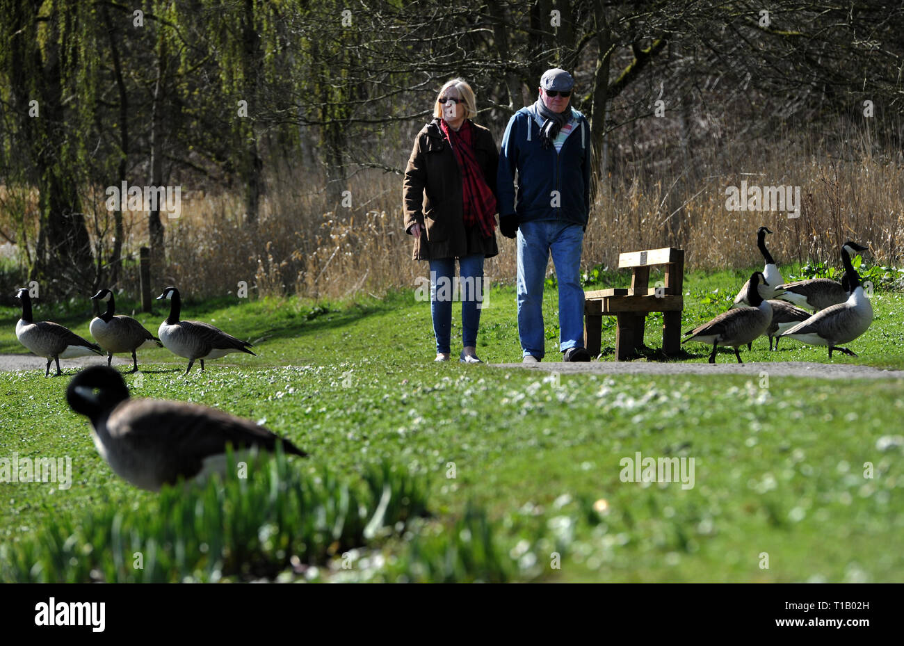 Canadian Spring Landscape High Resolution Stock Photography and Images ...