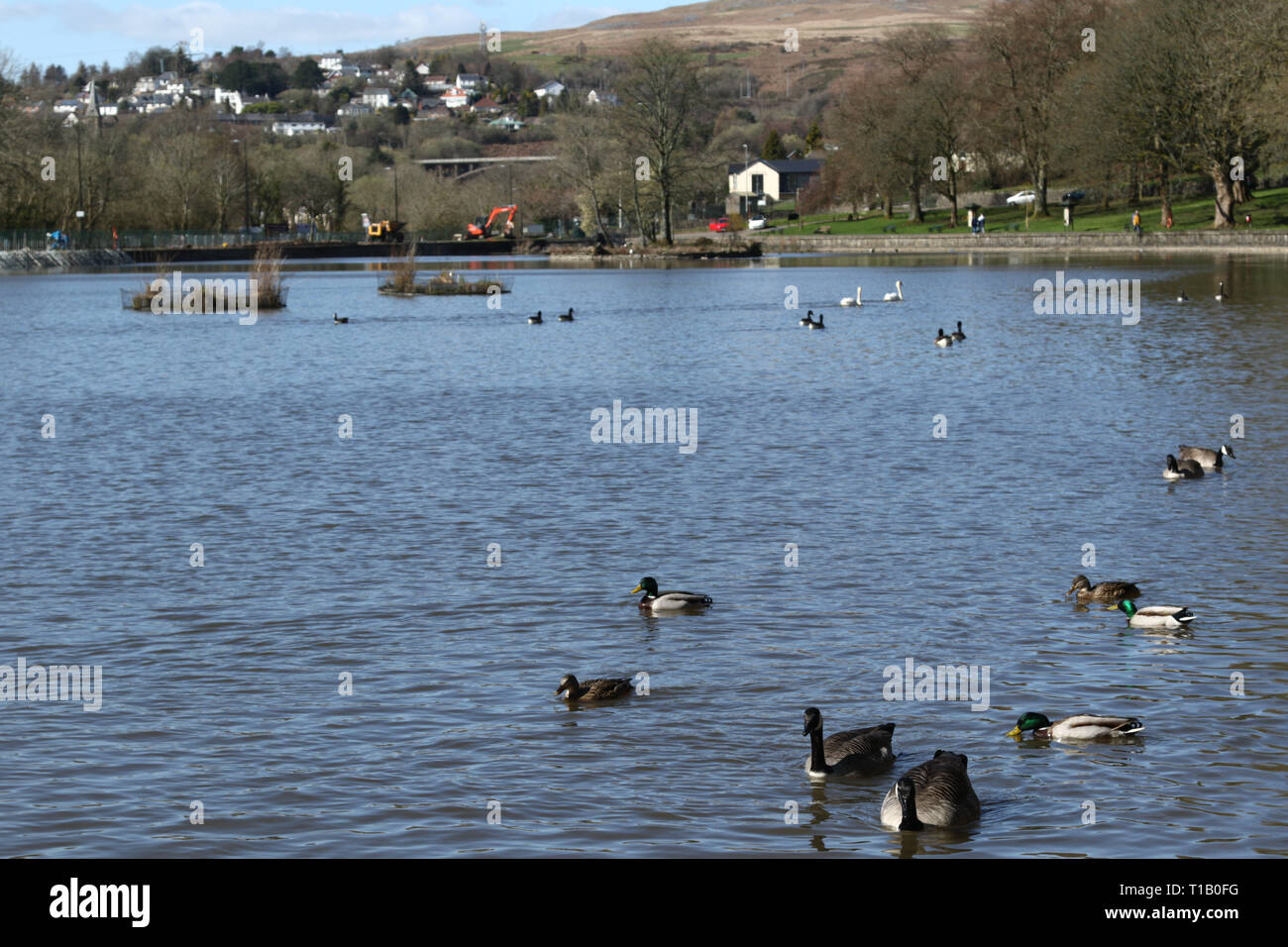 Cyfarthfa Park, Merthyr Tydfil, South Wales, UK. 25 March 2019. UK ...