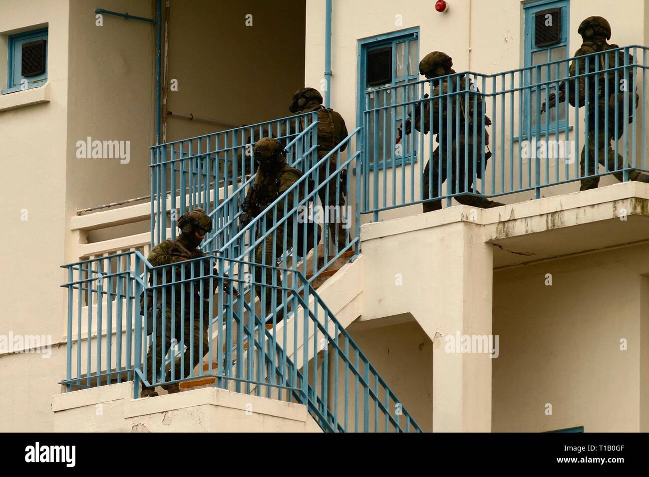 Hong Kong, CHINA. 25th Mar, 2019. SDU ( Special Duties Unit ) walk down ...