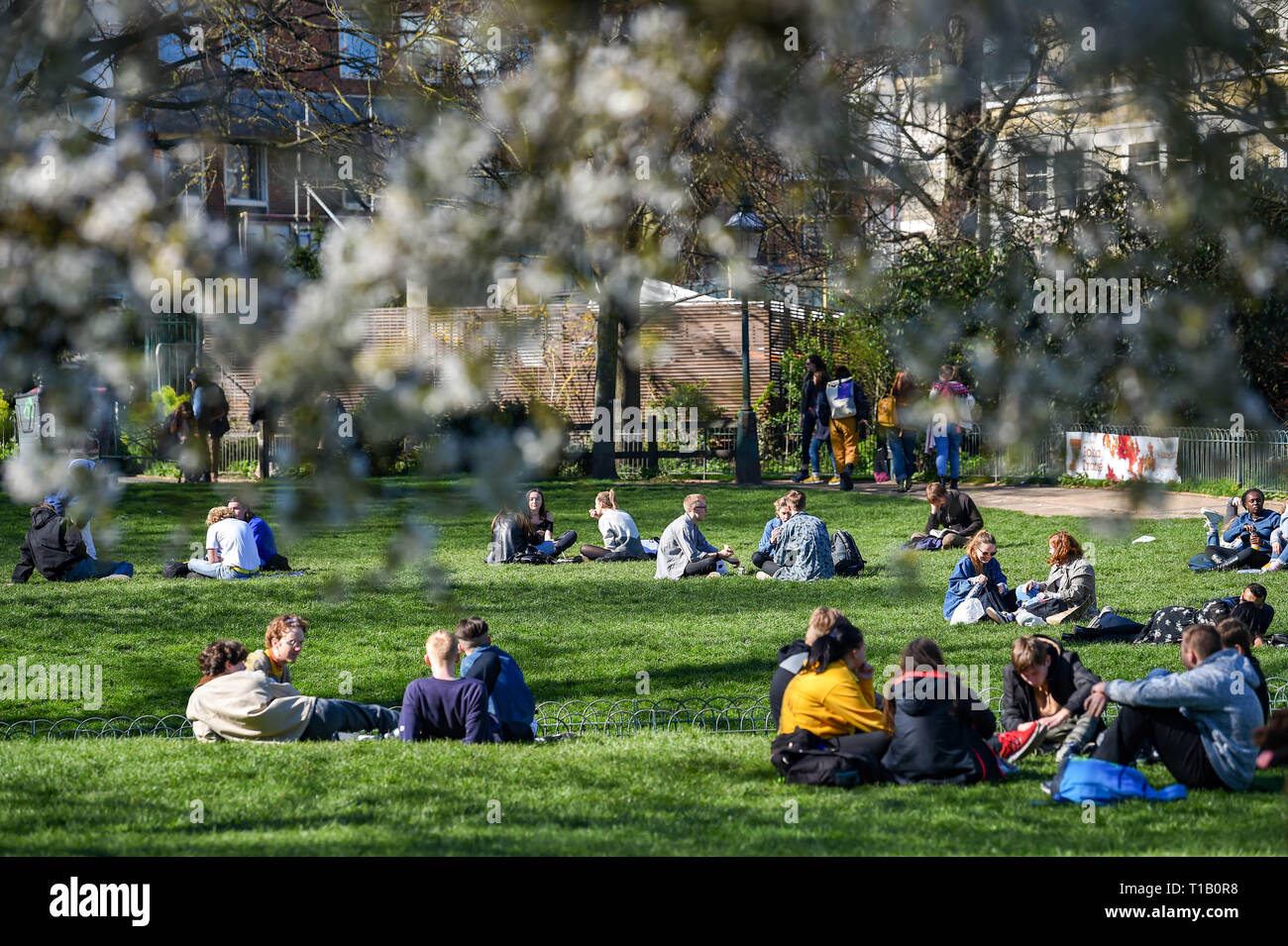 Spring sunshine 2019 hi-res stock photography and images - Alamy