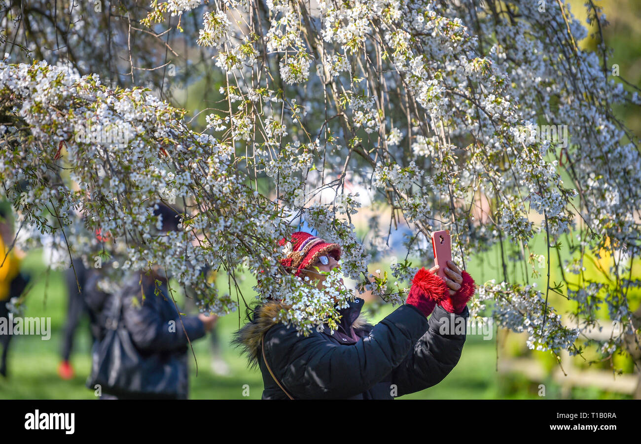 Spring 2019 hi-res stock photography and images - Alamy