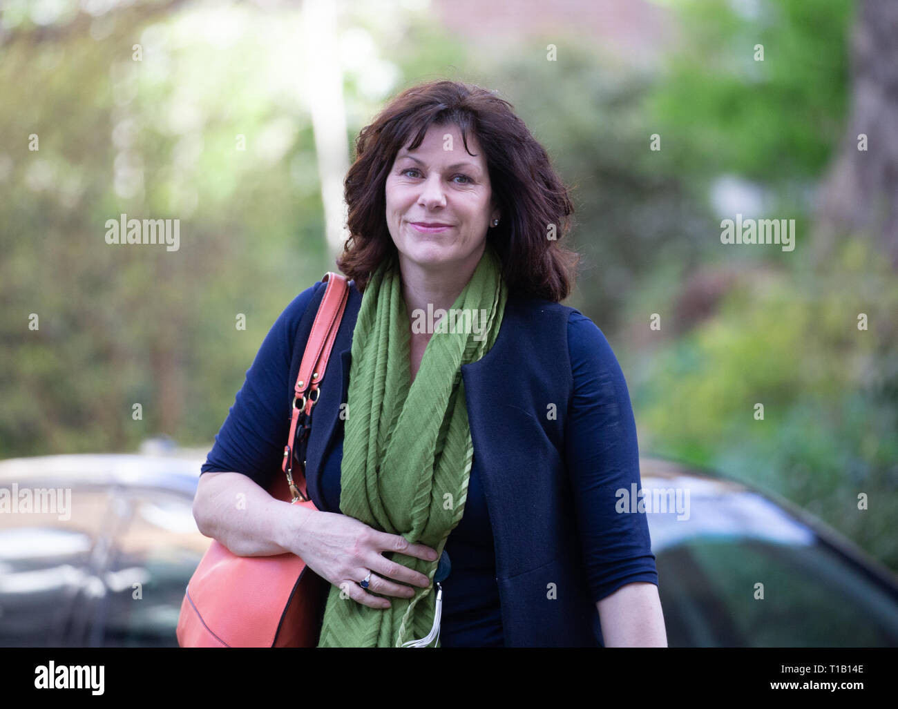 Claire perry clean growth hi-res stock photography and images - Alamy