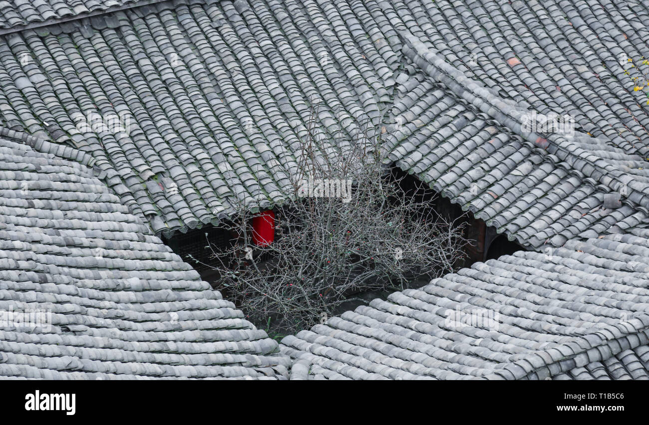 Chinese traditional building siheyuan, brick and tile structure, trees ...