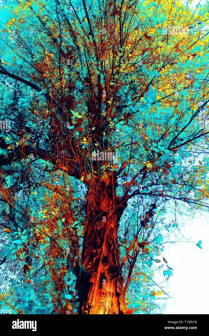 Abstract natural trees, branches and leaves of various colors, colorful ...