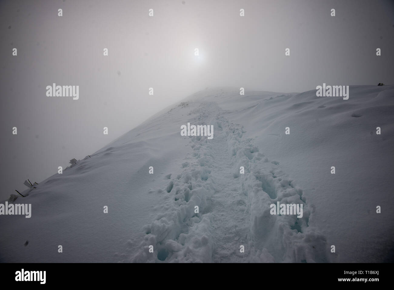 snow covered tourist trails in slovakia tatra mountains. misty winter ...
