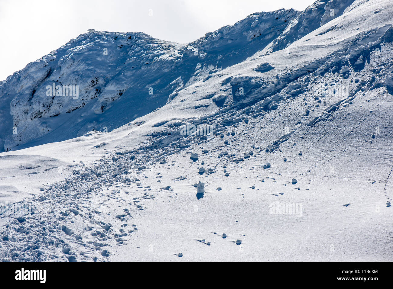 snow covered tourist trails in slovakia tatra mountains. misty winter ...