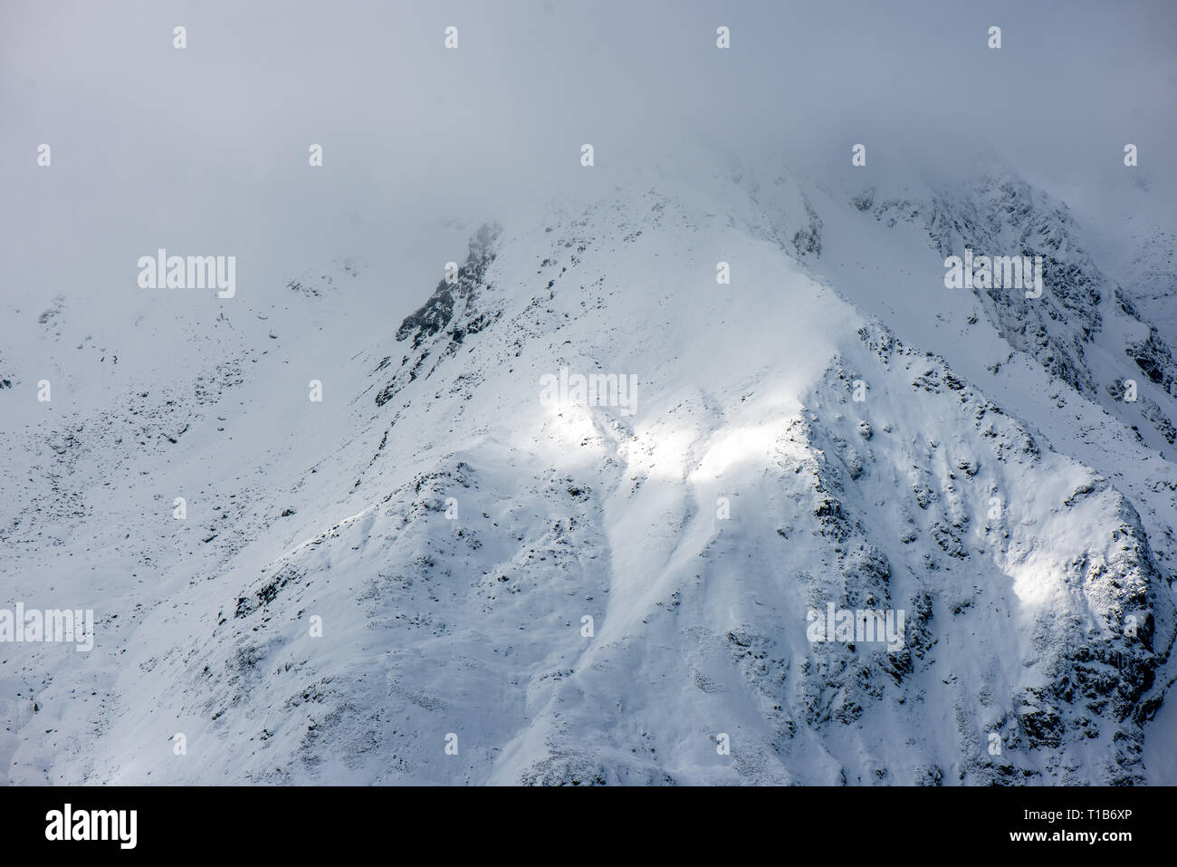 snow covered tourist trails in slovakia tatra mountains. misty winter ...