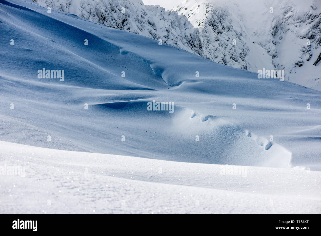 snow covered tourist trails in slovakia tatra mountains. misty winter ...