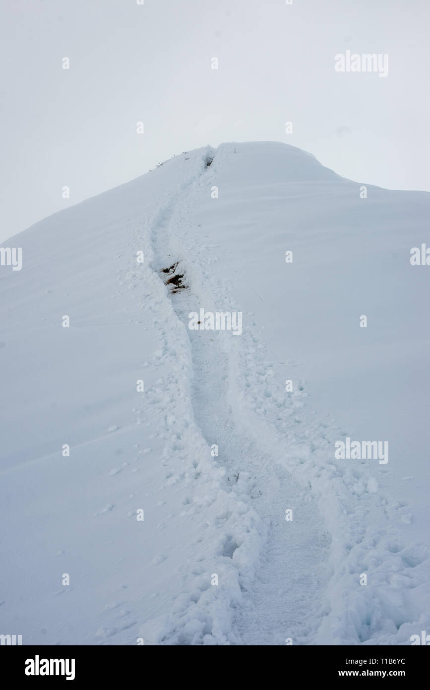 snow covered tourist trails in slovakia tatra mountains. misty winter ...