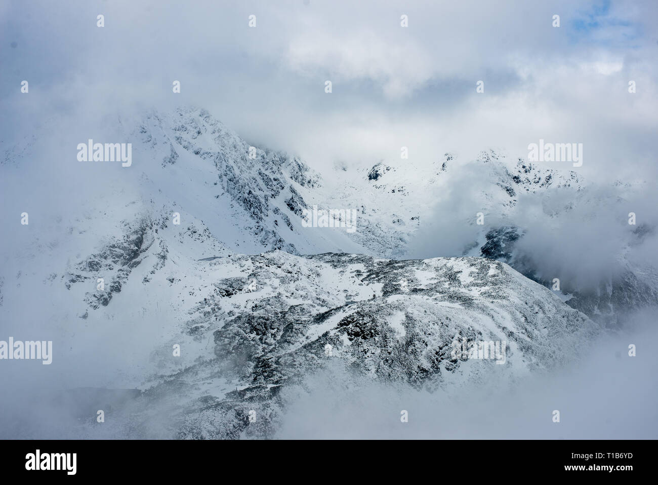 snow covered tourist trails in slovakia tatra mountains. misty winter ...