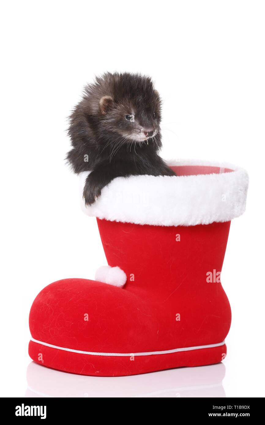 Black mirror season one hi-res stock photography and images - Alamy