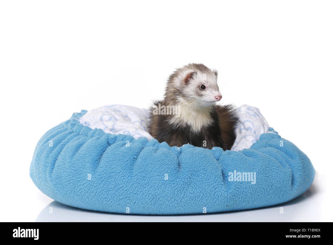 Short supply equipment hi-res stock photography and images - Alamy