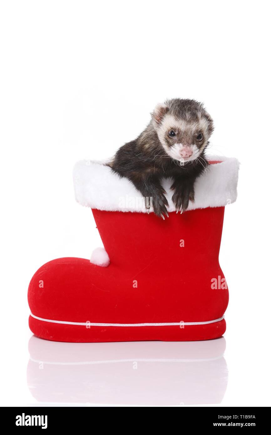 Tide 4 time hi-res stock photography and images - Alamy