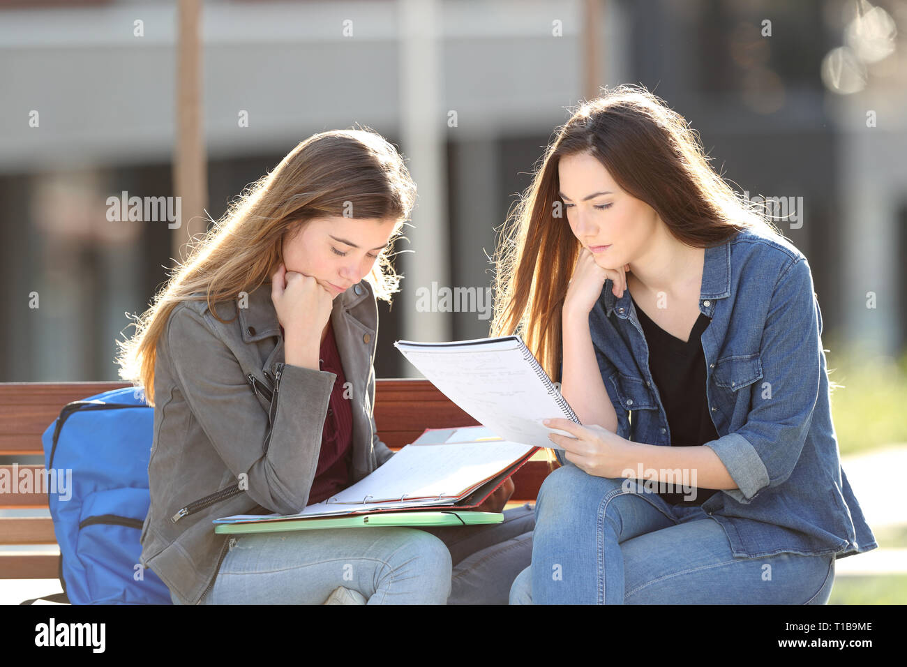 Two concentrated students studying sitting on a bench in a park Stock ...
