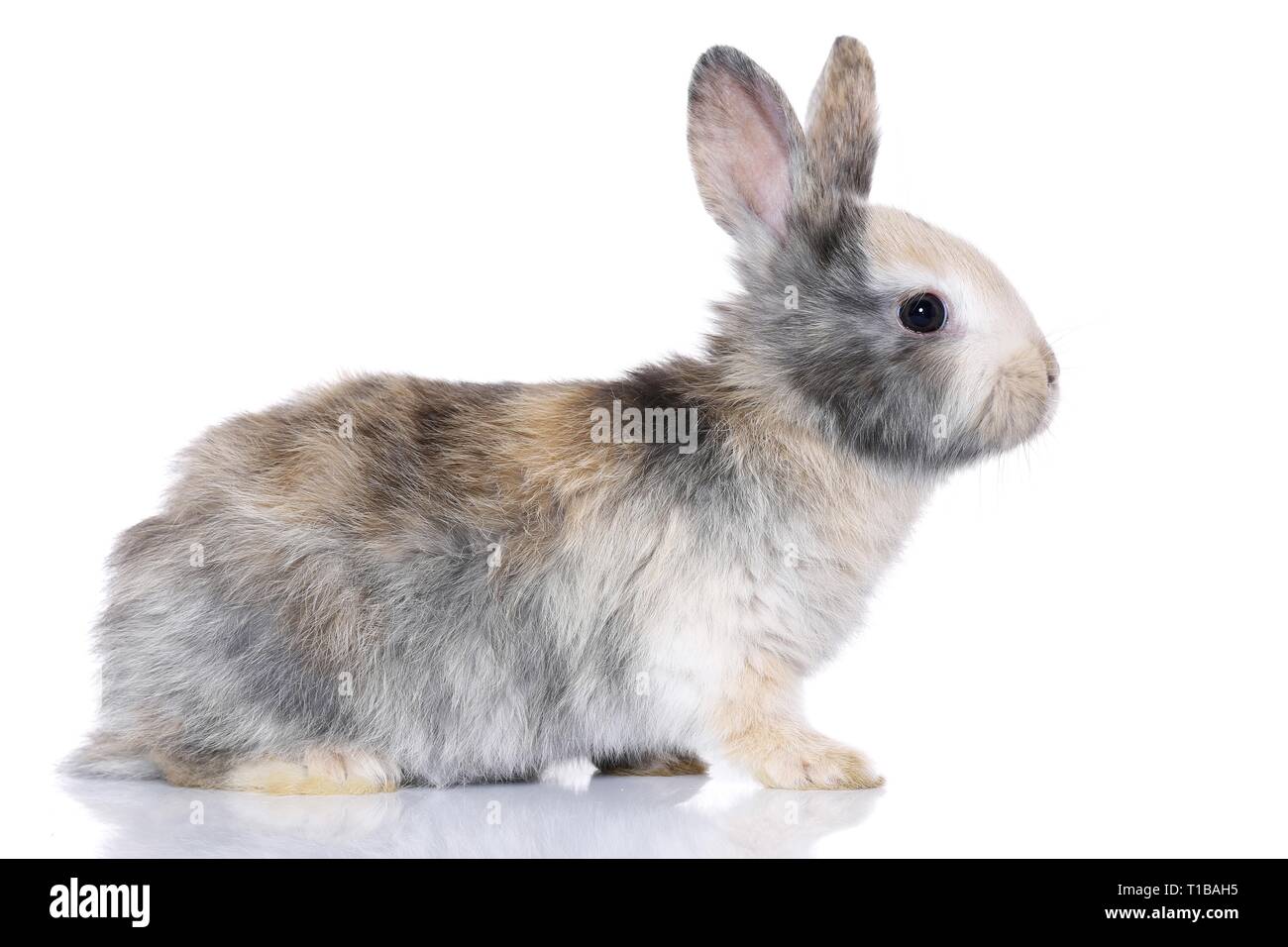 Babys reflection hi-res stock photography and images - Alamy