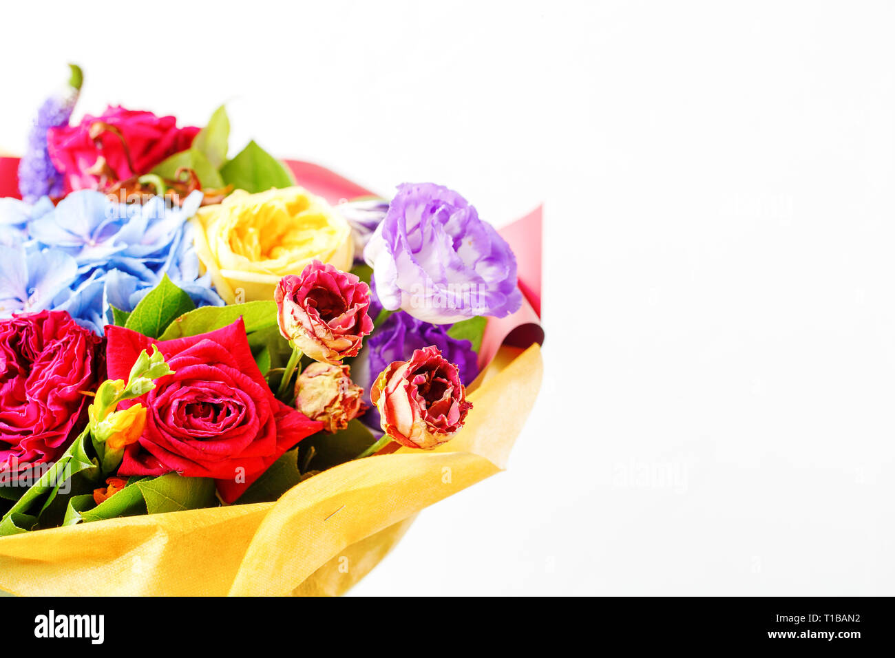 Bouquet of multicolored roses on empty white background Stock Photo - Alamy