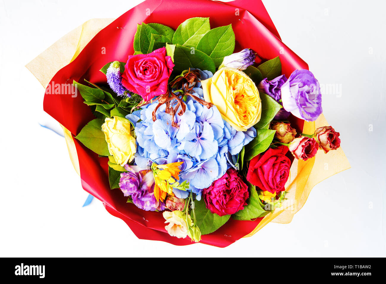 Photo from above of bouquet of multi-colored roses on empty white ...