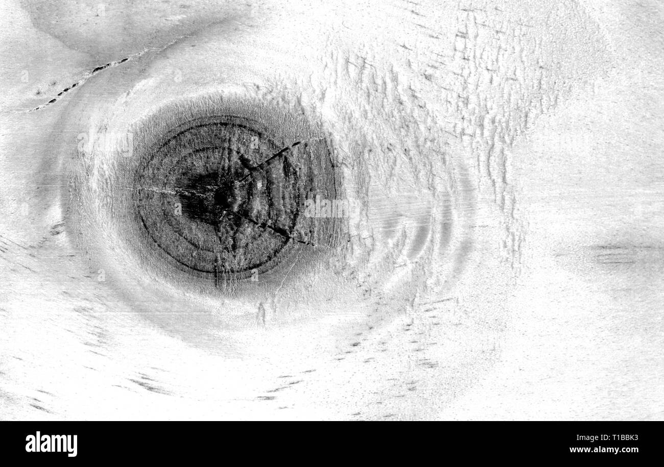 Pine wood texture on wooden wall, black & white softwood pattern ...