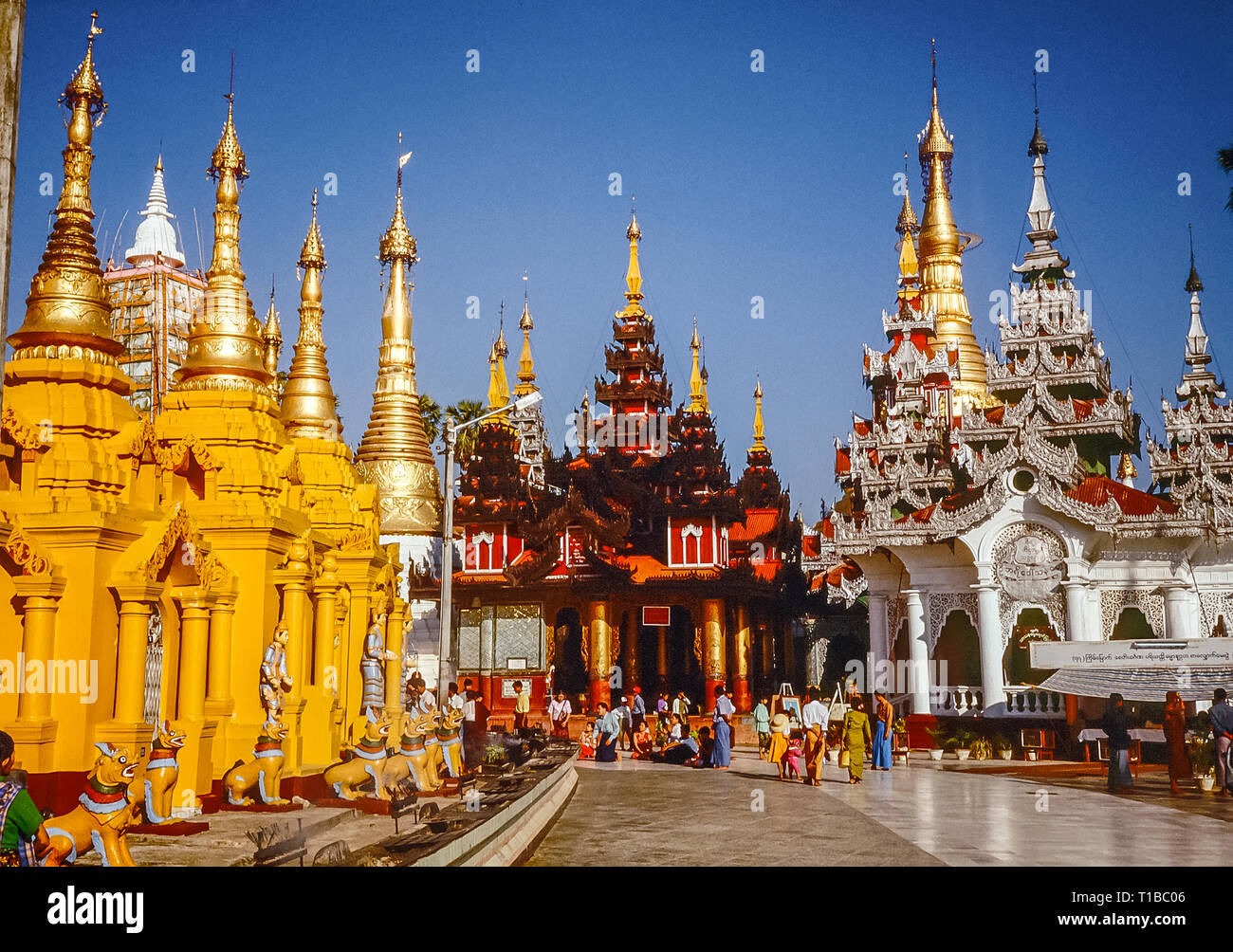 Myanmar. The world famous Shwedagon Pagoda Buddhist temple in the ...