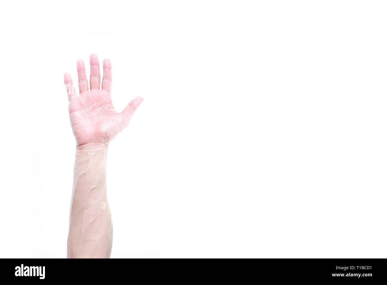 Man right forearm and hand isolated on white background, raise arm up ...